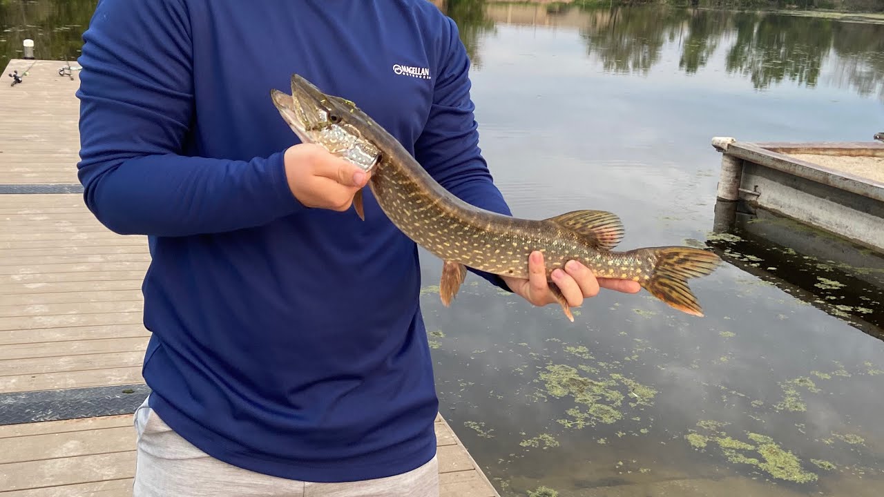 Fishing for Northern pike in A Wisconsin river! - YouTube