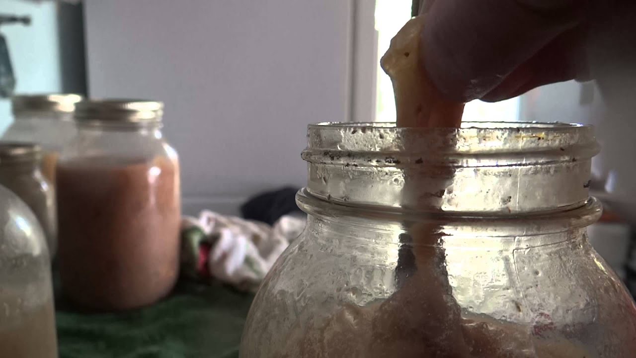 Kefir 101 Part3 Water fruit Kefir - YouTube