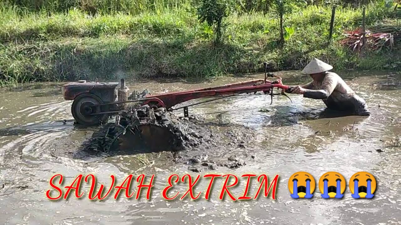 TRAKTOR SAWAH QUICK G 1000 BOXER BEKERJA PADA SAWAH EXTRIM - YouTube