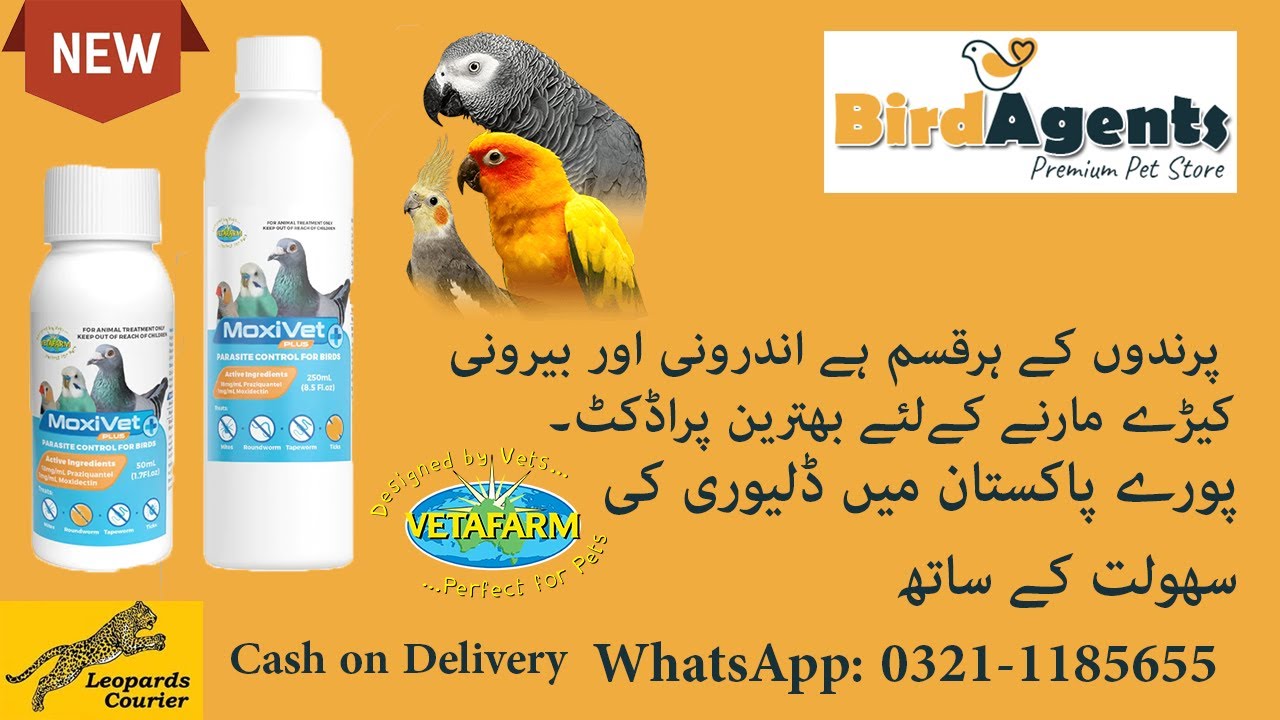 Moxivet Parasite Controal | BirdAgents Premium Pet Store - YouTube