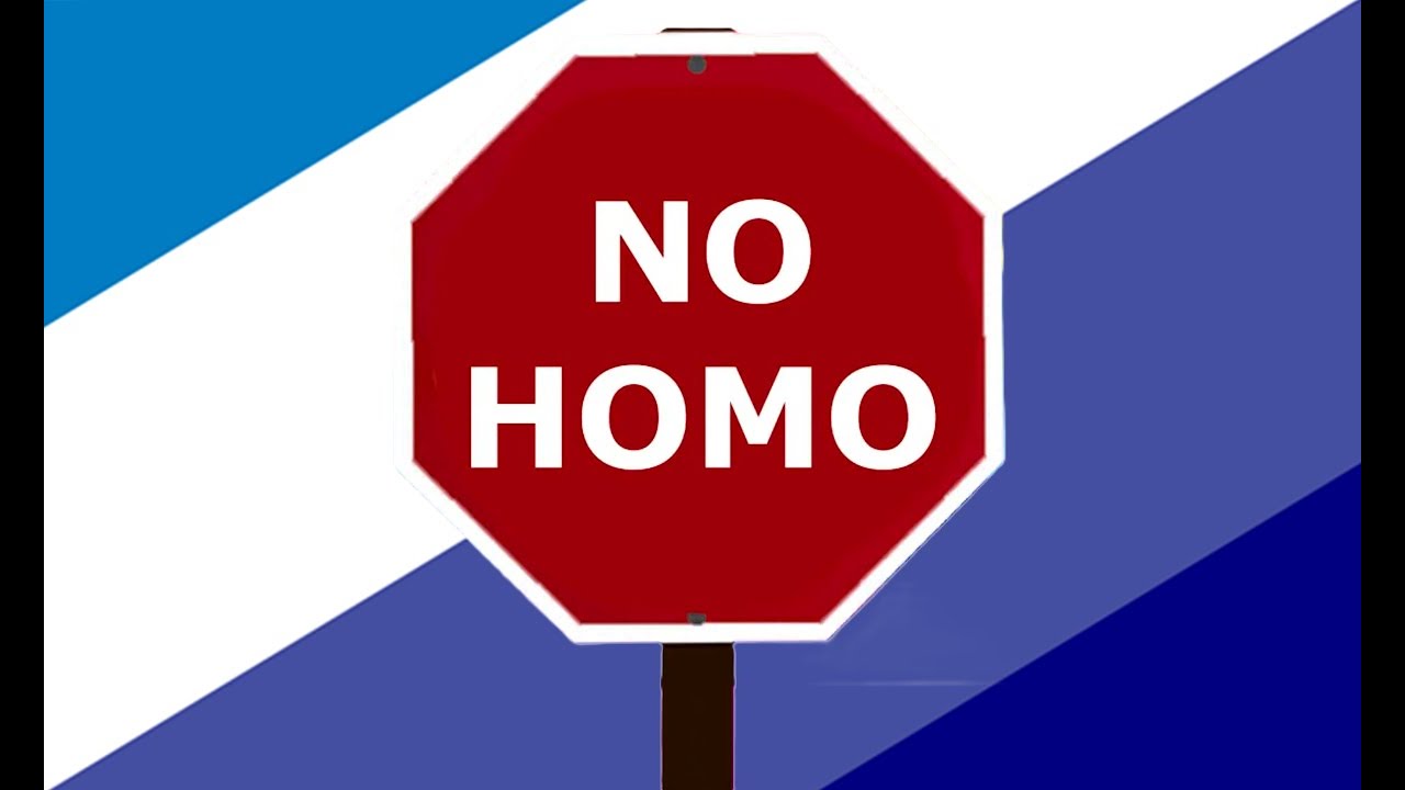 No Homo! (g0y song 1) - YouTube