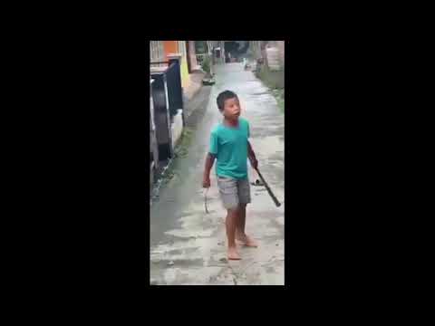 #viral #bocil #vs #sontreng #short