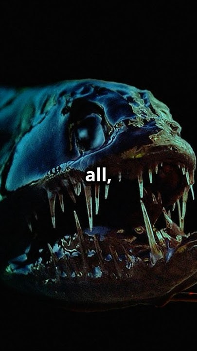 Top 5 Scariest Deep Sea Creatures 🐟 - YouTube