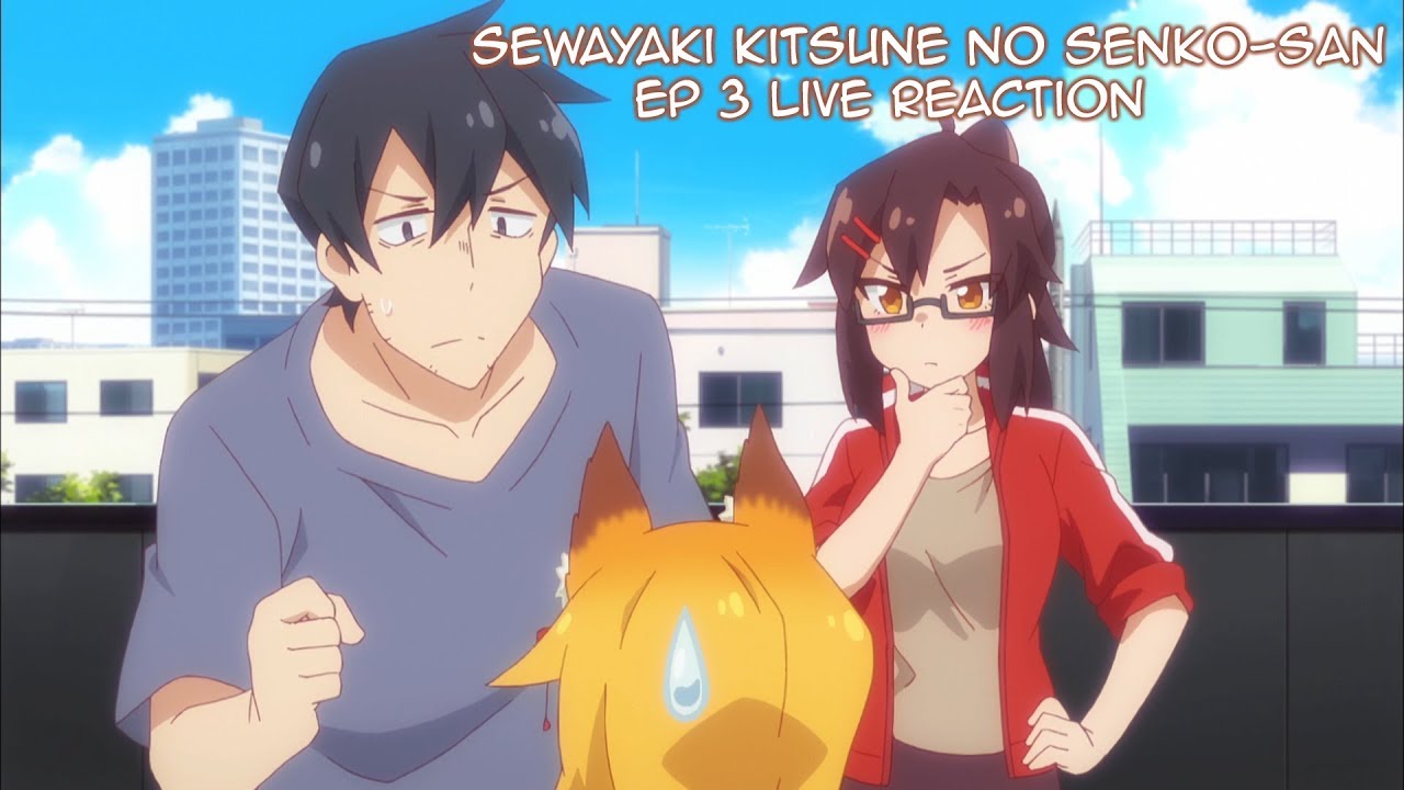 Sewayaki Kitsune no Senko-san Ep 3 Live Reaction *Read Description ...