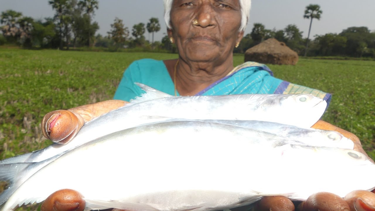 90 YEAR'S GRANDMA VILLAGE STYLE PULASA FISH SPICY CURRY - ILISH FISH ...