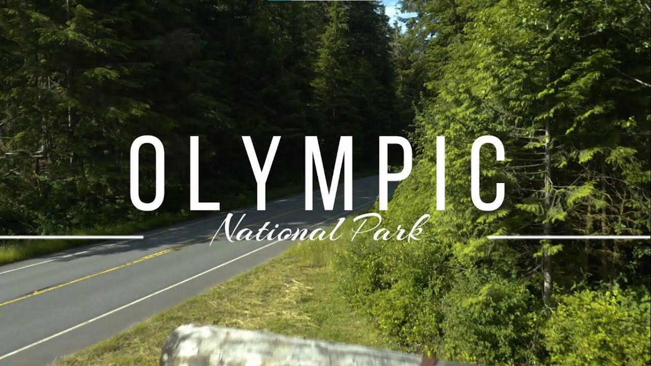 Discover the Beauty of Olympic Valley with Action Tour Guide's Self ...