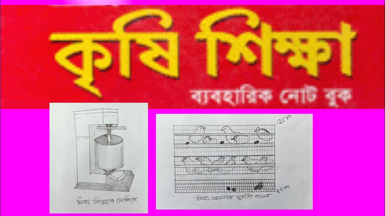এসএসসি কৃষি শিক্ষা প্রাকটিক্যাল পর্যবেক্ষণ ৩ / ১০ চিত্র অংকন || SSC ...