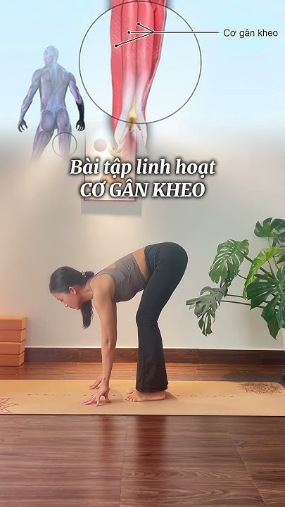 Bài Tập Linh Hoạt Cơ Gân Kheo - YouTube