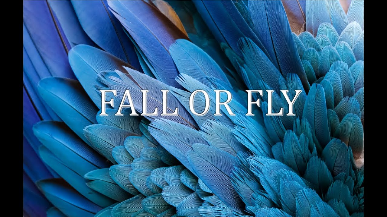 Fall Or Fly - YouTube