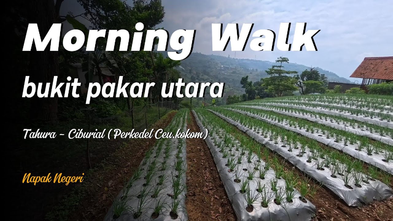 Saturday Morning Walk, Tahura-Ciburial (Warung Perkedel ceu kokom ...