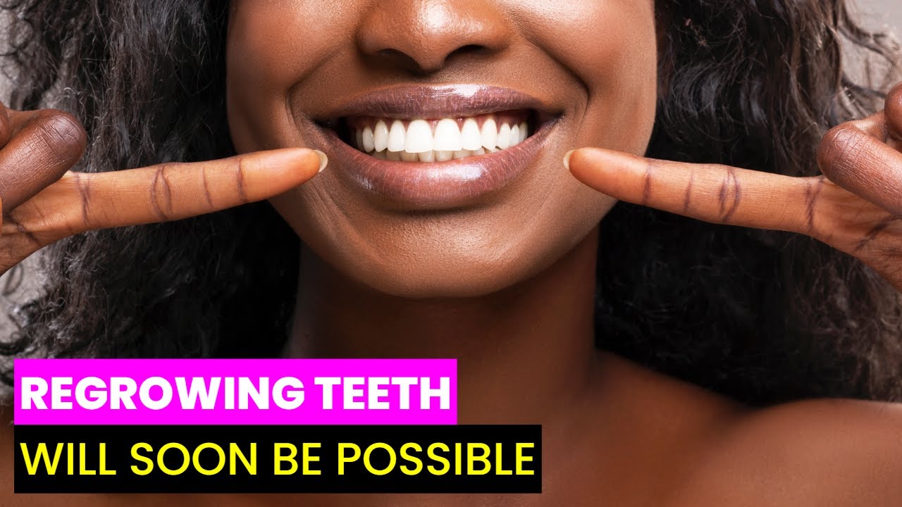 A Dental Revolution! Regrowing Human Teeth Might Be Possible | Future ...