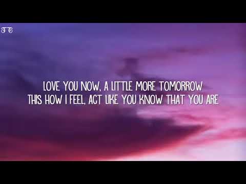 Justin Bieber ft. Quavo - Intentions (Lyrics)