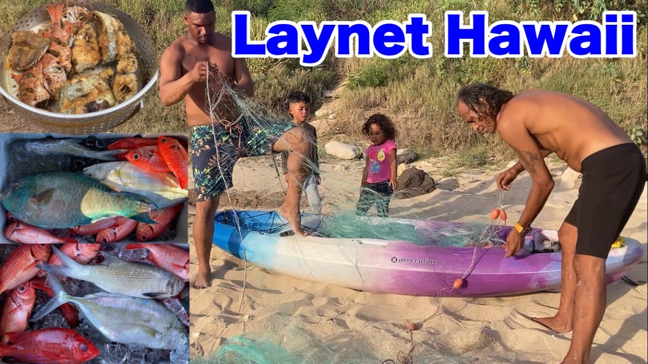 【Laynet Hawaii 】catch fishes and eating at the beach 釣った魚をビーチで食べる🐟 ...