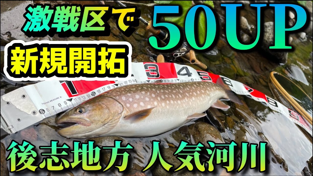 【50UP】有名河川を新規開拓したらロッドがブチ鬼曲がり･･･ - YouTube