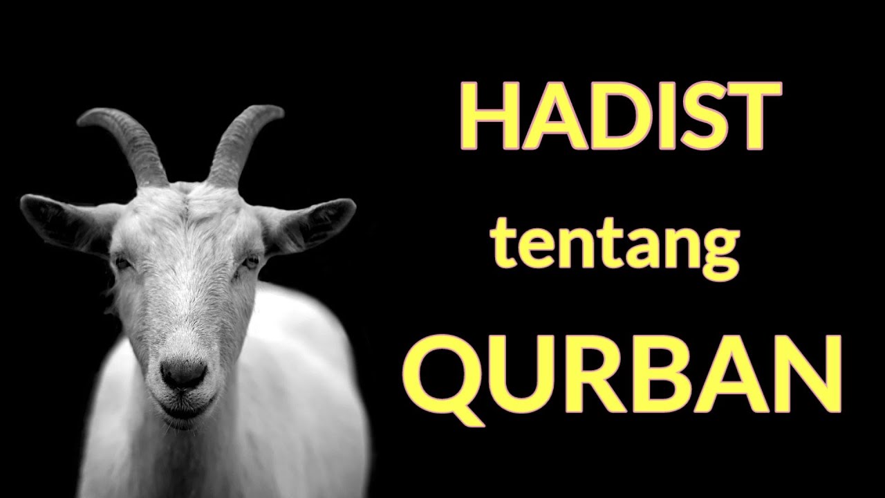 Hadits tentang Qurban Hari Raya Idul Adha beserta artinya - YouTube