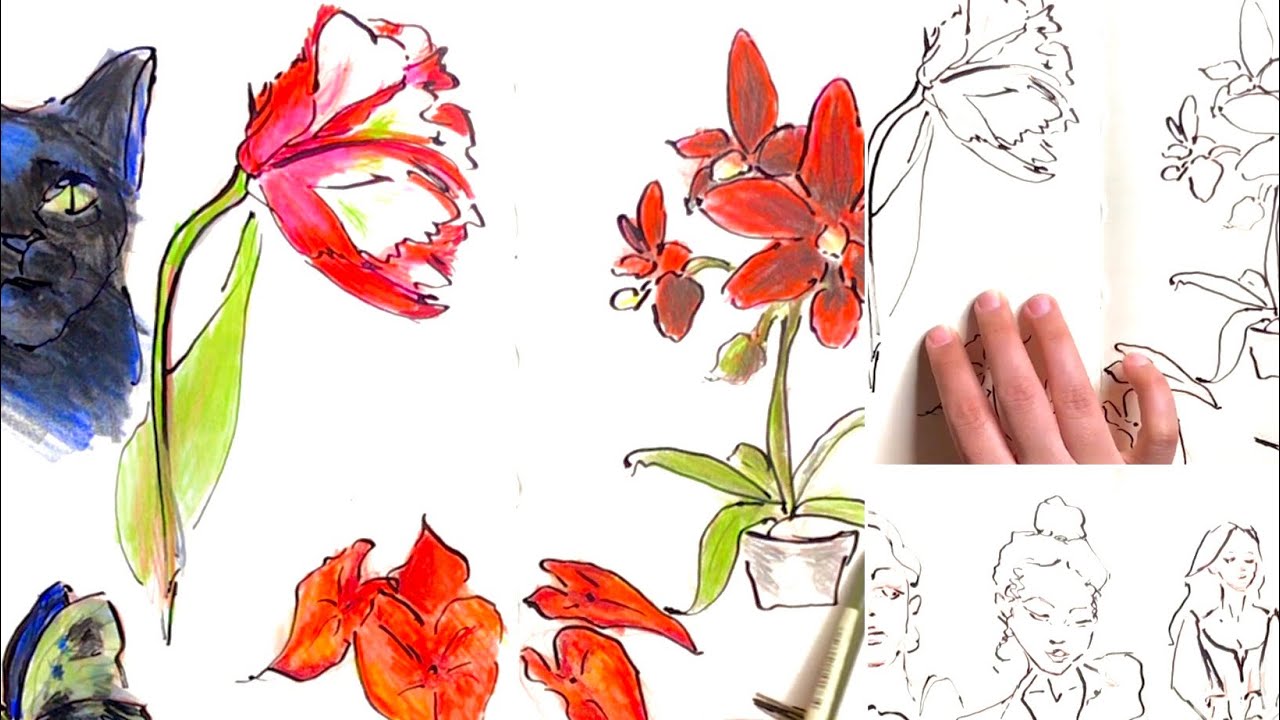 Sketchbook spread 1 - YouTube