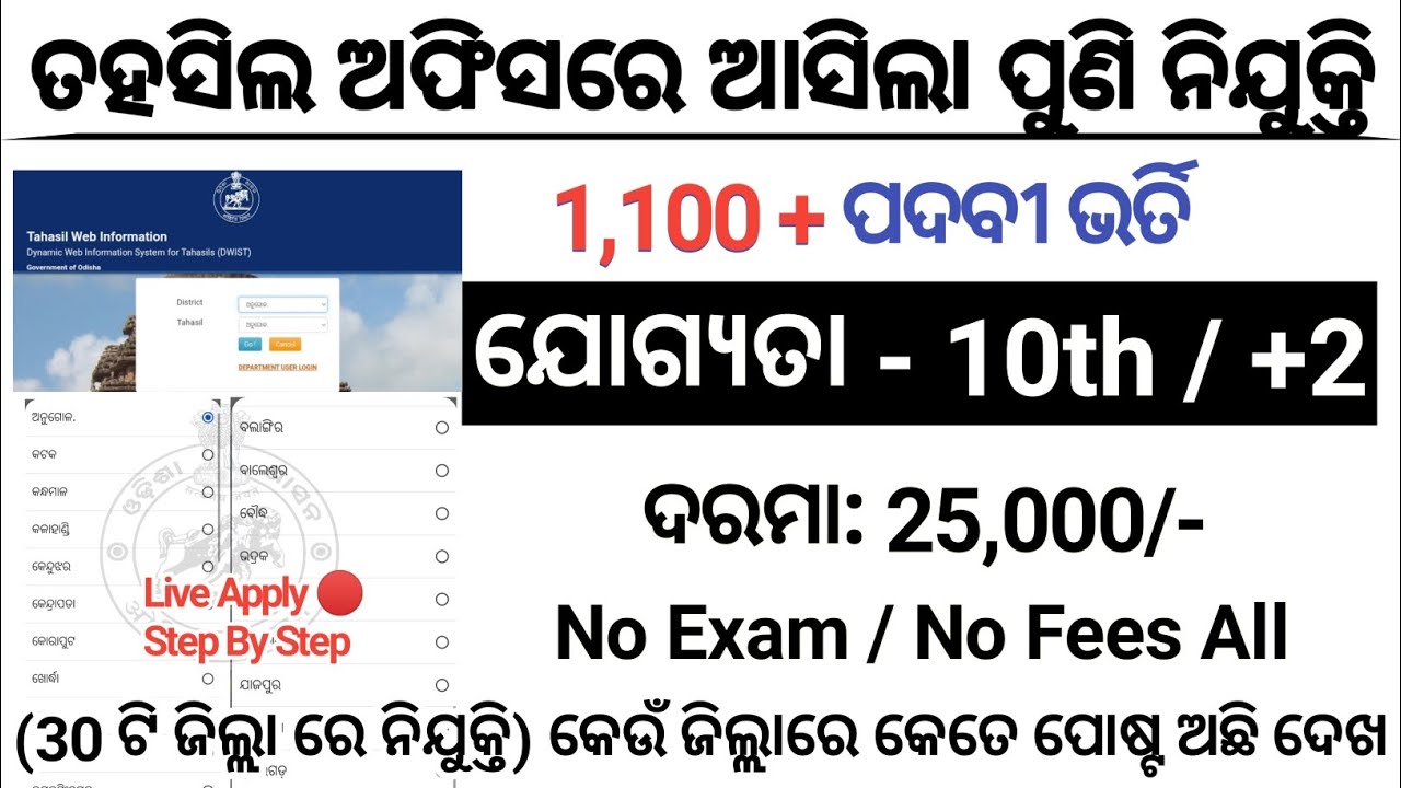 Tahasil Office New Recruitment 2024-25 in All District/1100+ Post ...