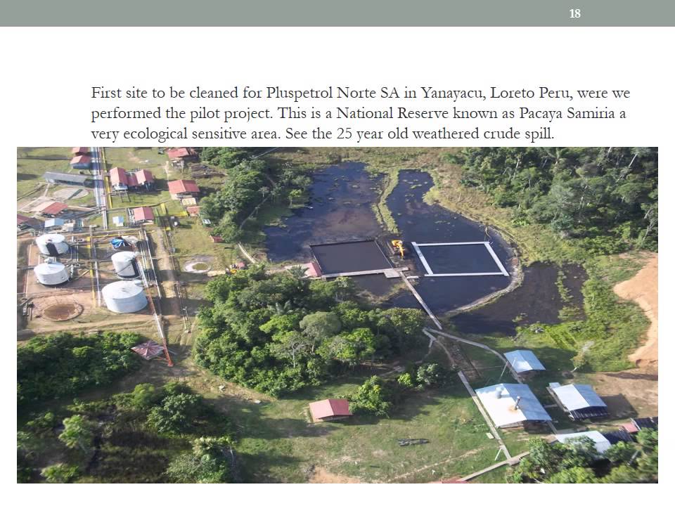 Ecosafeems - YouTube