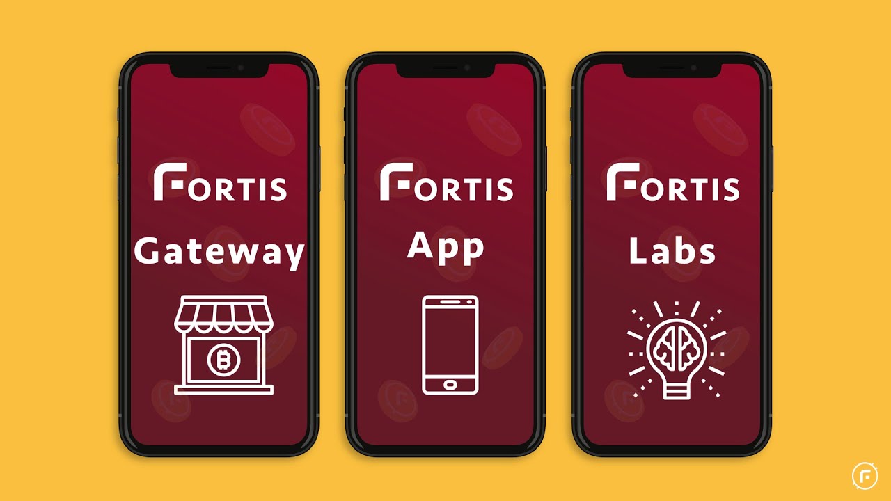 Introducing Fortis - Accessible DeFi for the masses! - YouTube