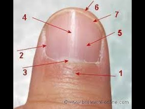 TRATAMIENTO PARA LAS CUTICULAS RESECAS ...USA ESTO !! - YouTube