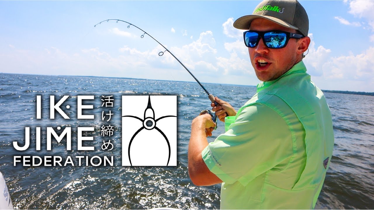 You've Been Eating Fish Wrong | The Story of Ike Jime! - YouTube