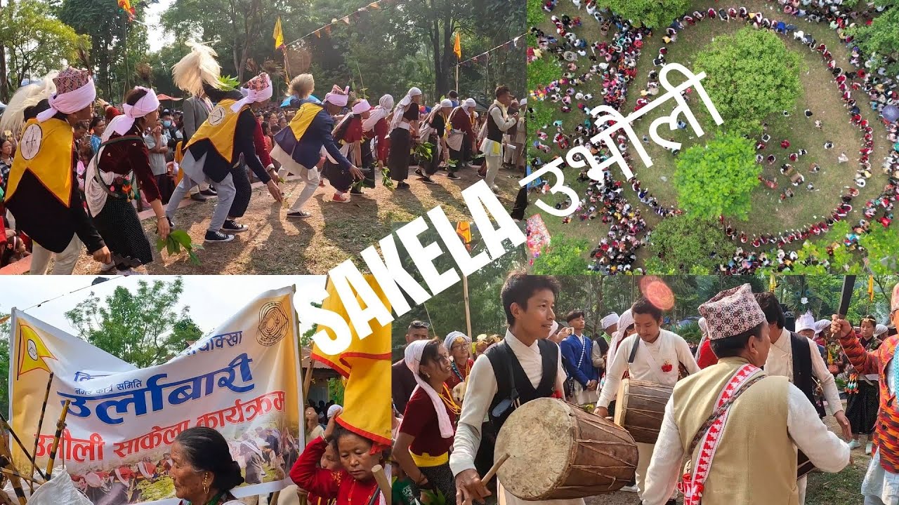 SAKELA साकेला उभौली 2079 IN PATHARI SANISCHARE । PERFORMED BY URLABARI ...