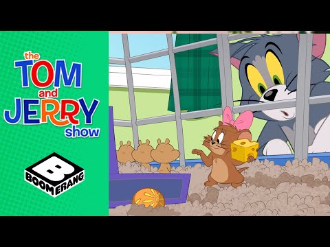 Jerry the Hamster | Tom & Jerry | Boomerang UK