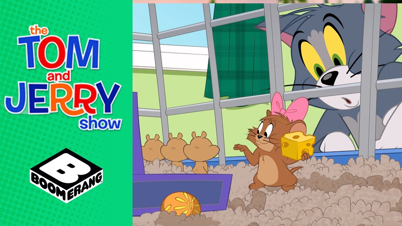Jerry the Hamster | Tom & Jerry | Boomerang UK - YouTube