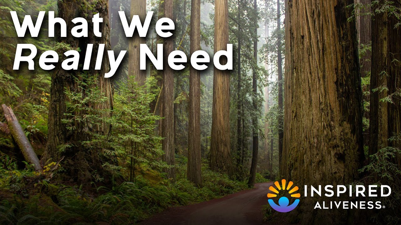 What We Really Need - YouTube