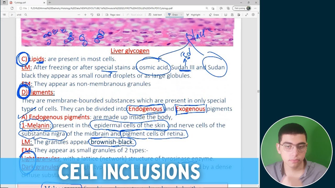 [NEW COURSE 2022] Cell Inclusions | Cytology | Histology - YouTube