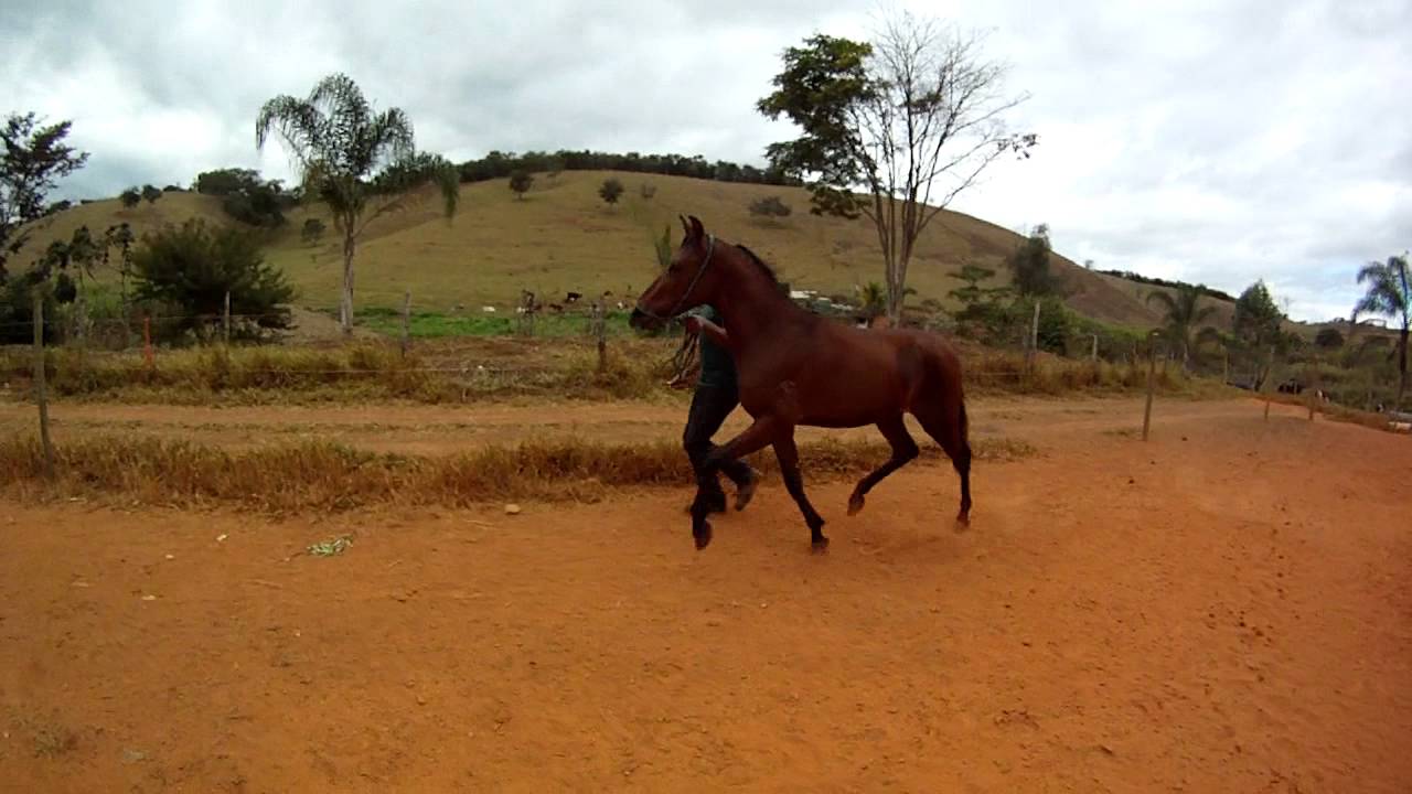 Opash Ananda em treinamento.MP4 - YouTube