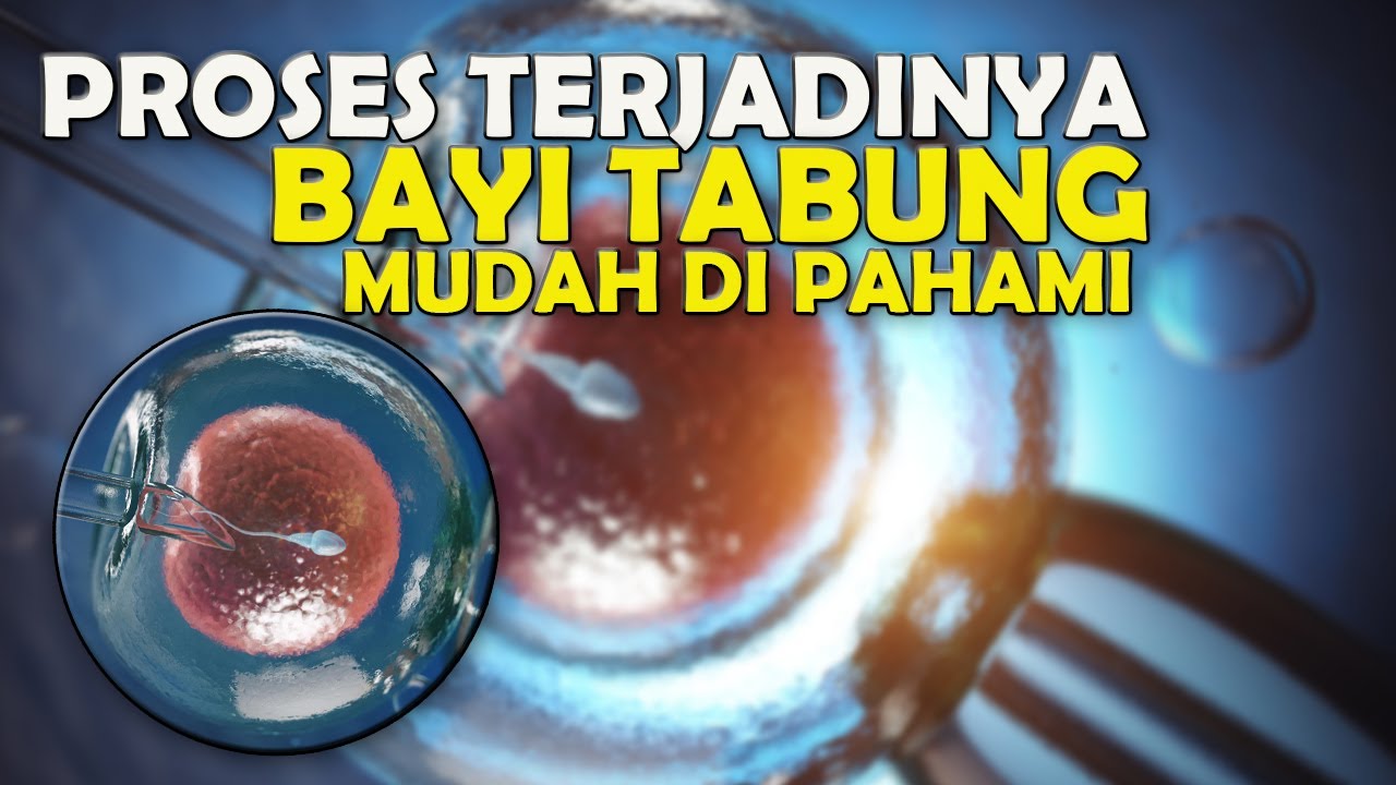 Proses Tejadinya Bayi Tabung Mudah Di Pahami /IVF - YouTube