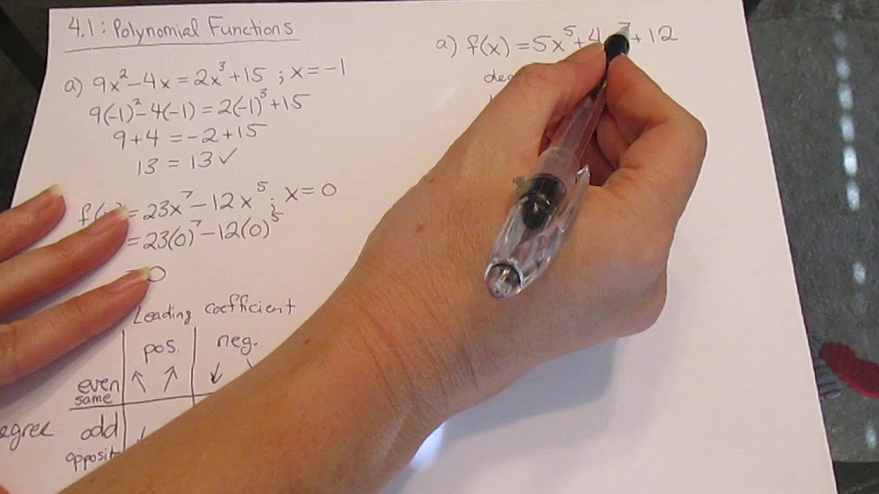 4.1: Polynomial Functions - YouTube