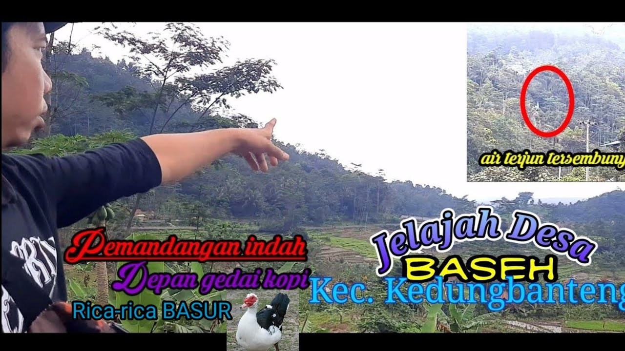 DESA BASEH- kedung banteng jalur kolam renang (kebun buah) dan warung ...