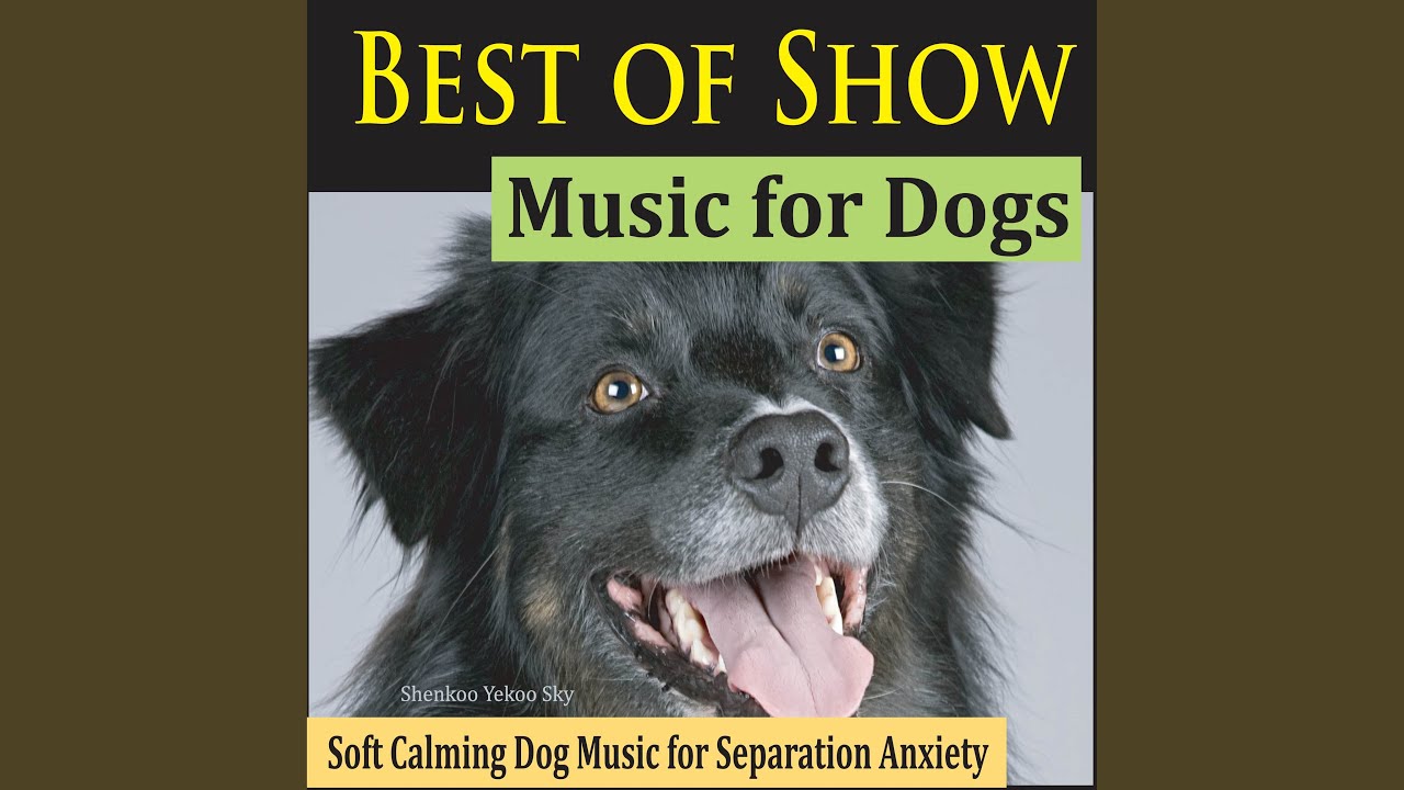 Whippet Real Good (Music for Dogs) - YouTube