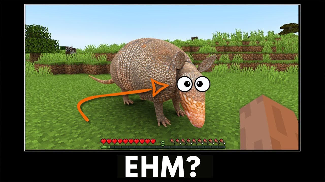 Das aktuelle DRAMA um die MINECRAFT ARMADILLOS.. - YouTube