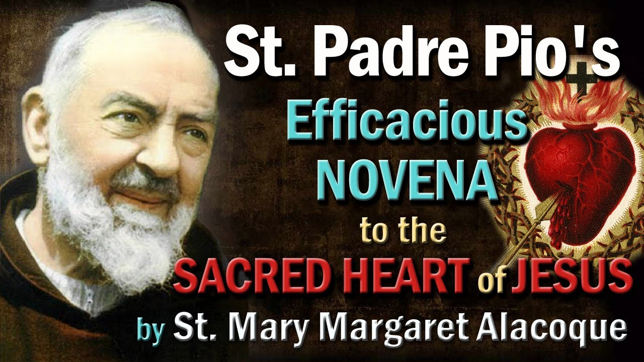 Padre Pio's Efficacious Novena to the Sacred Heart - St Margaret Mary ...