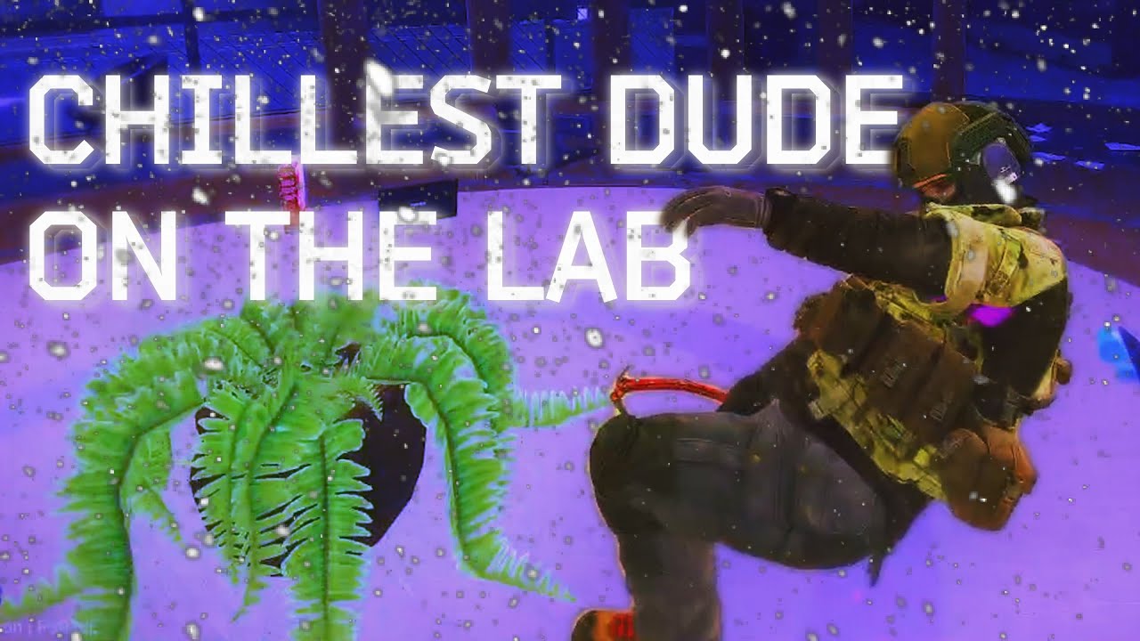 CHILLEST Dude On Labs - Escape From Tarkov - YouTube