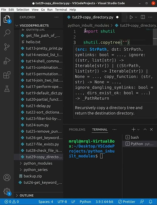Python built-in modules tips & tricks #shorts 💡 #29 - Copy a directory / folder - YouTube