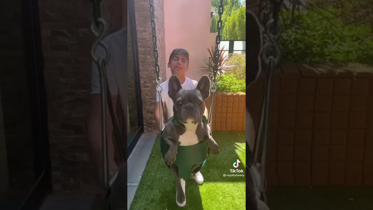 Gucci And Ferran BestFriends ️ - YouTube