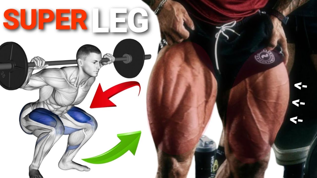 Best Big Leg Exercises To Build Bigger Leg Muscle | Leg Workout at GYM ...
