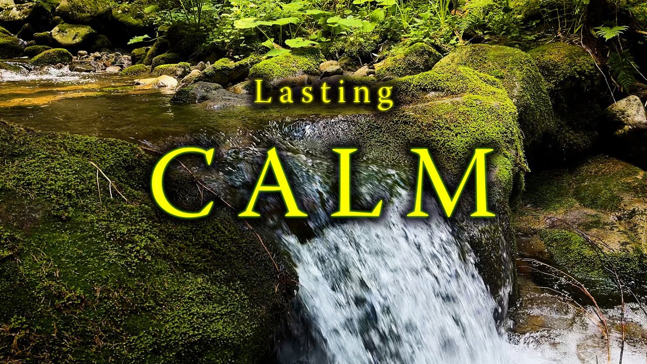 Slow relaxing music and rich nature scenery - YouTube
