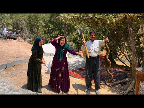 The Mountain Elder Hunted a Venomous Snake | The Homeless Family’s Incredible Reaction