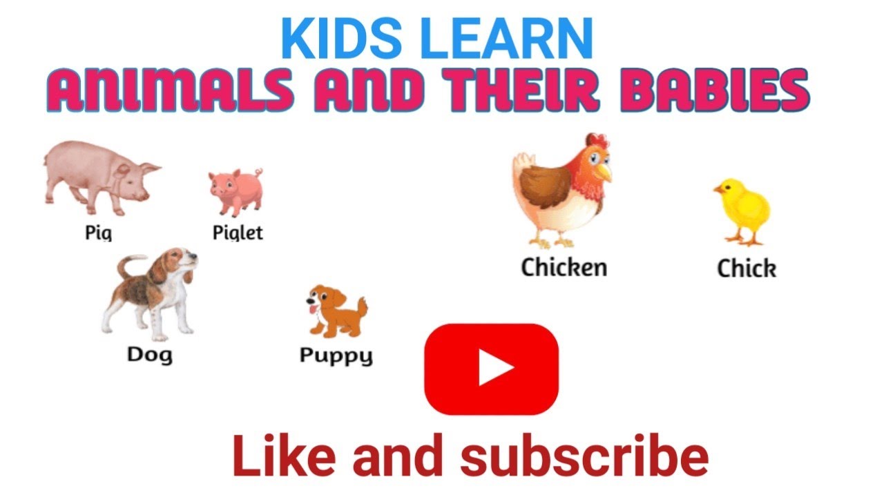 KIDS LEARN ANIMALS AND THEIR BABIES I 🐄🐮 LEARN ANIMALS AND THEIR BABIES ...