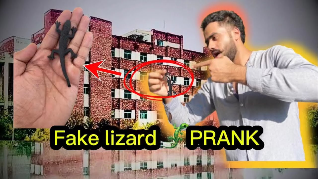 “Fake Lizard 🦎Prank | In university | IIUI Ibadat International ...