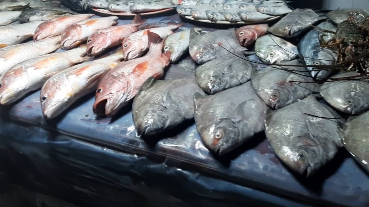 Saint Martin Fish Market || Lobster, Tuna, Rup Chada, Prawn, Coral and ...