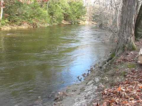 Shawangunk Kill in Bloomingburg ny - YouTube