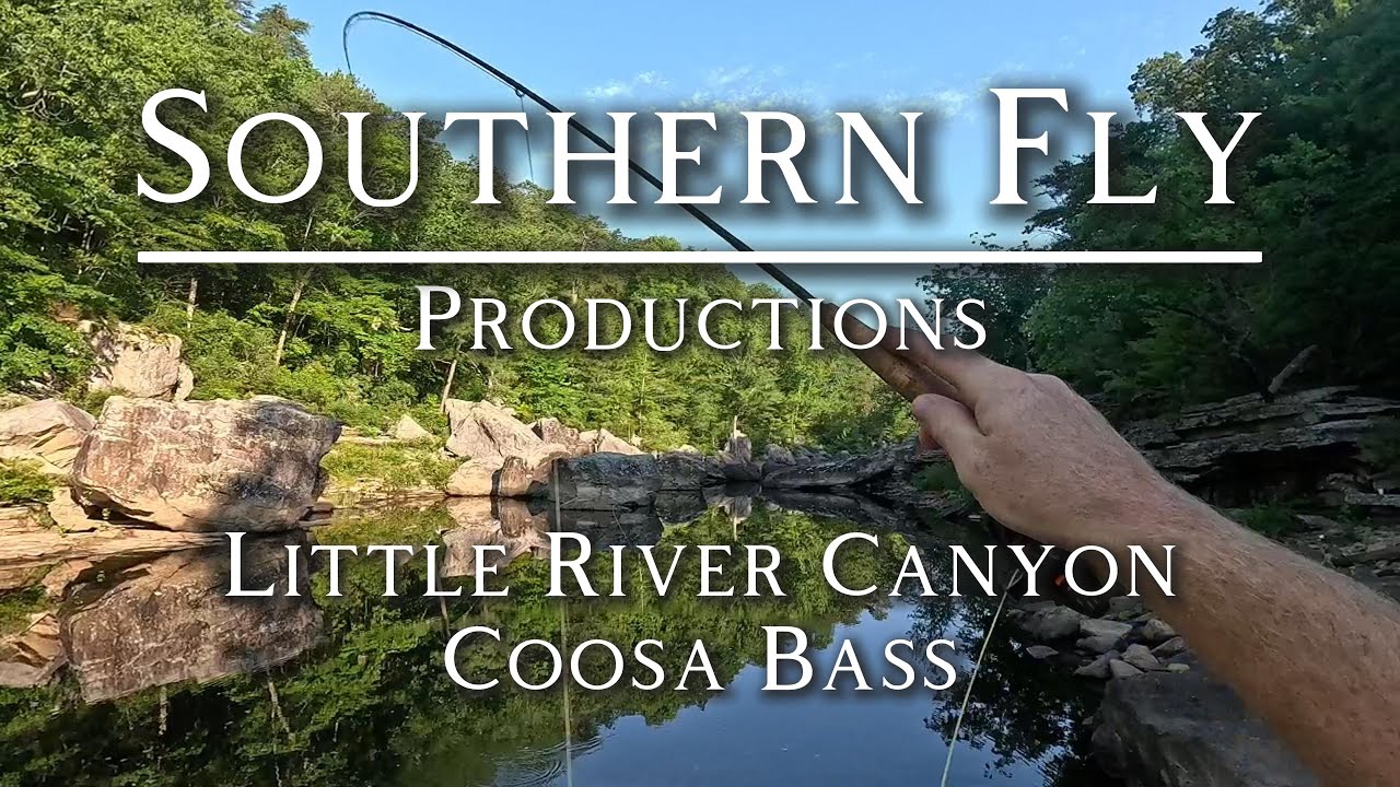 Fly Fishing Little River Canyon for Coosa Bass (Redeye) - YouTube