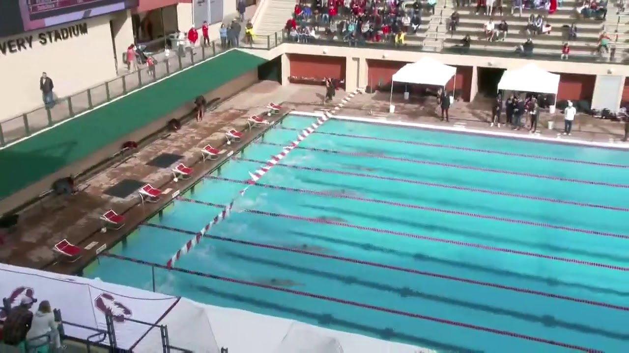 Women's Swimming and Diving: USC at Stanford - Highlights 02/02/19 ...