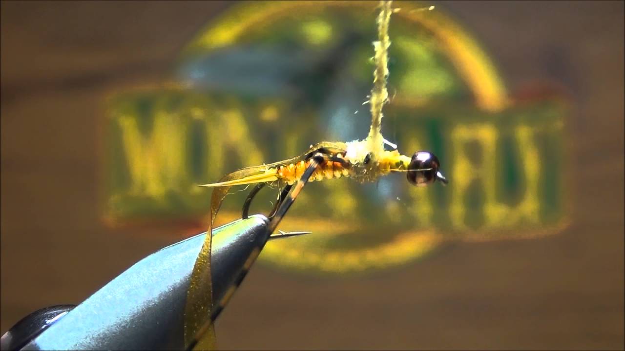 CP's Improved D Golden Stone Nymph 04 17 16 - YouTube